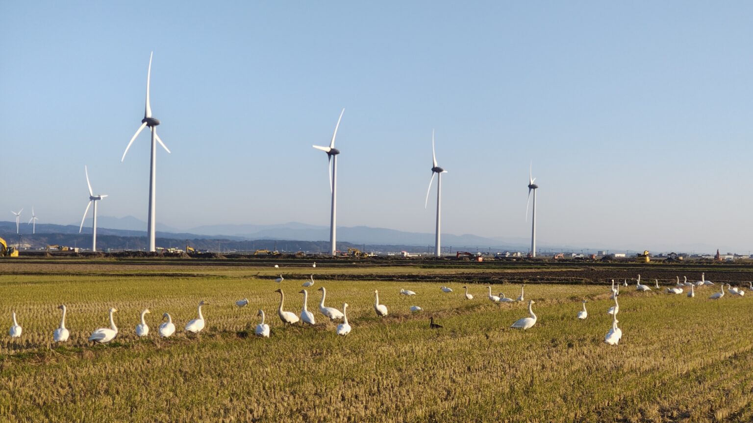 【入賞作品発表】2025年 風力発電のある風景 フォトコンテスト – JWPA一般社団法人 日本風力発電協会