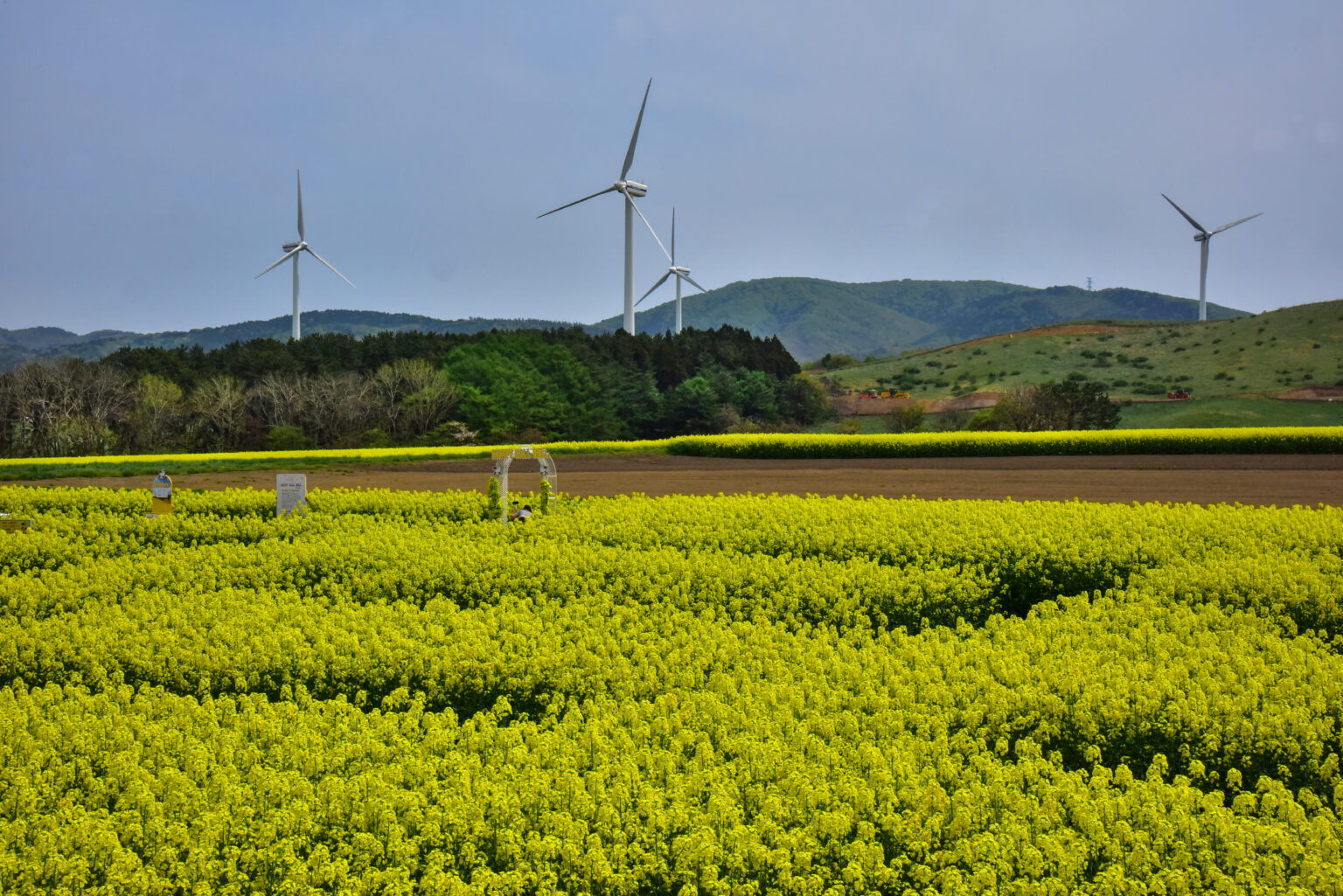 【入賞作品発表】2025年 風力発電のある風景 フォトコンテスト – JWPA一般社団法人 日本風力発電協会