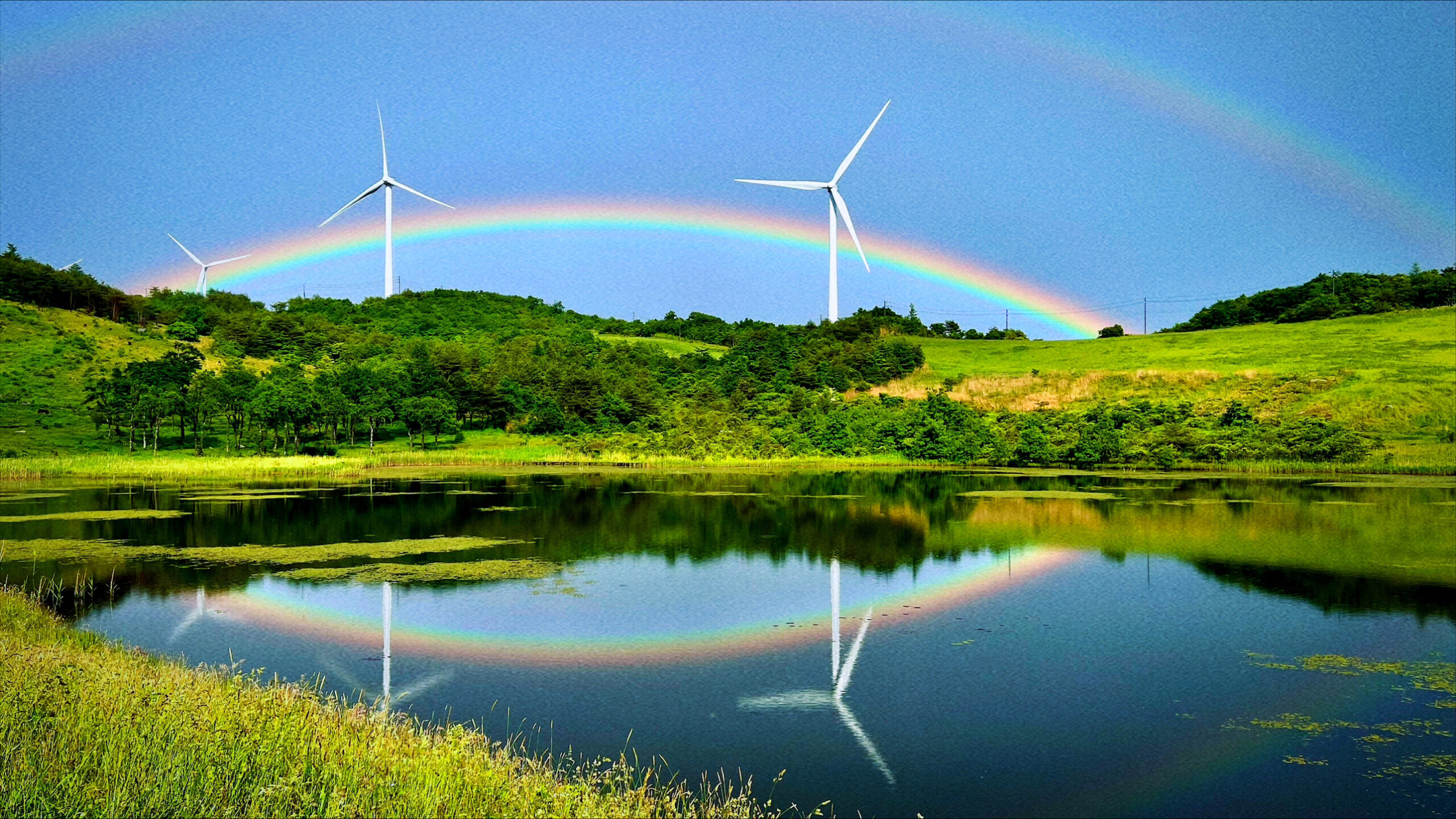 GWEC が世界風力統計を含む Global Wind Report 2024 を発表 – JWPA一般社団法人 日本風力発電協会